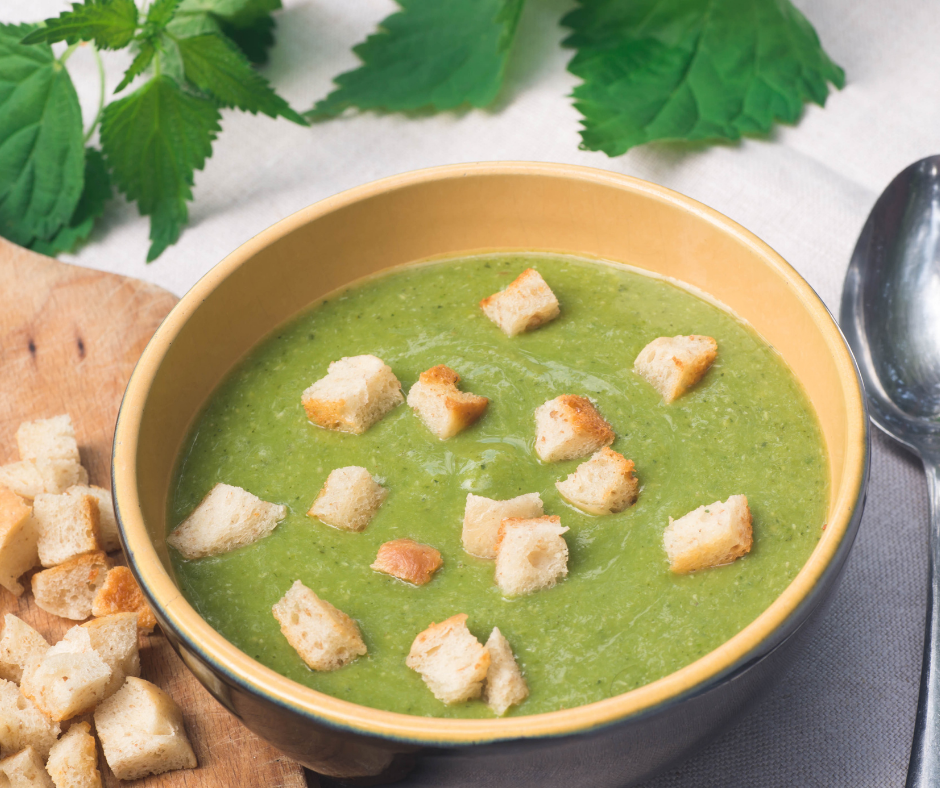 Koprivna kremna juha • Recepti Over Net